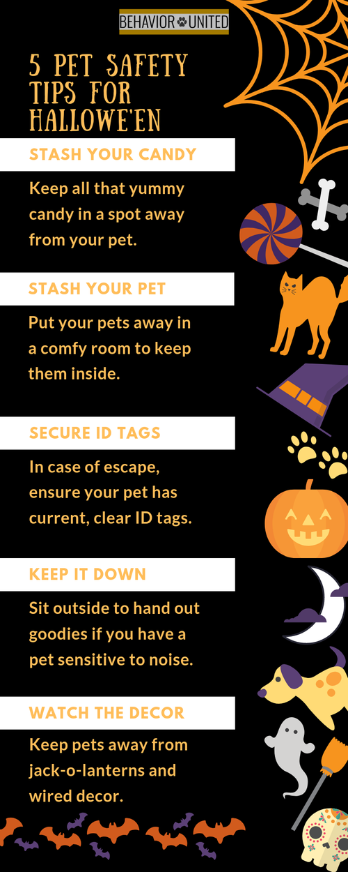 5 Tips for a Pet Safe Halloween — Behavior United Dog Behavior and Training