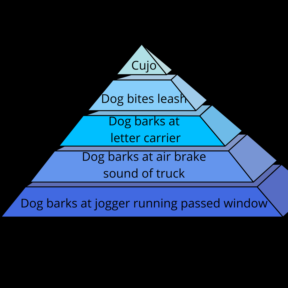 A Case of the Mondays — Behavior United Dog Behavior and Training