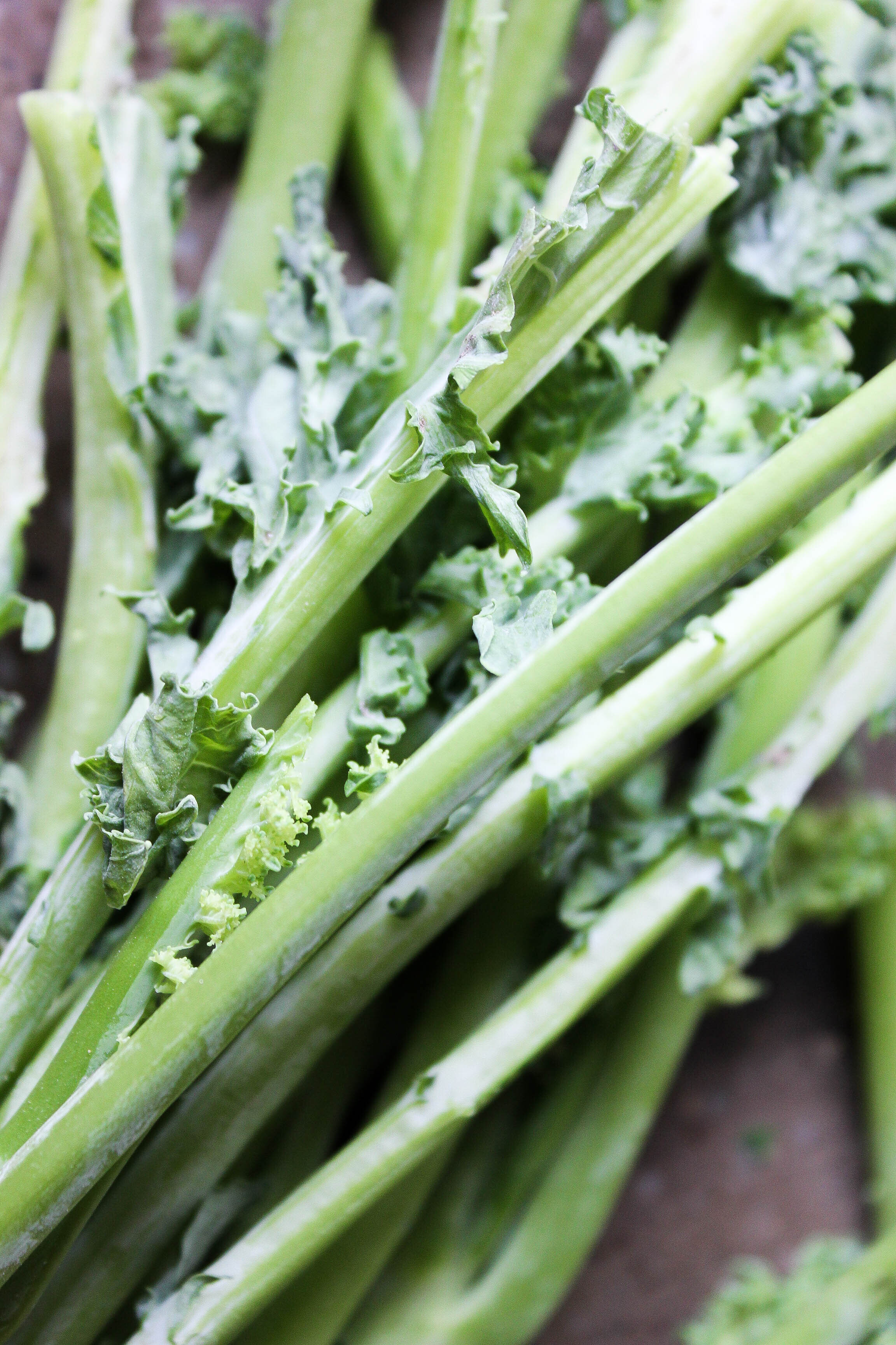 Kale Stem Pesto — allegra d'agostini