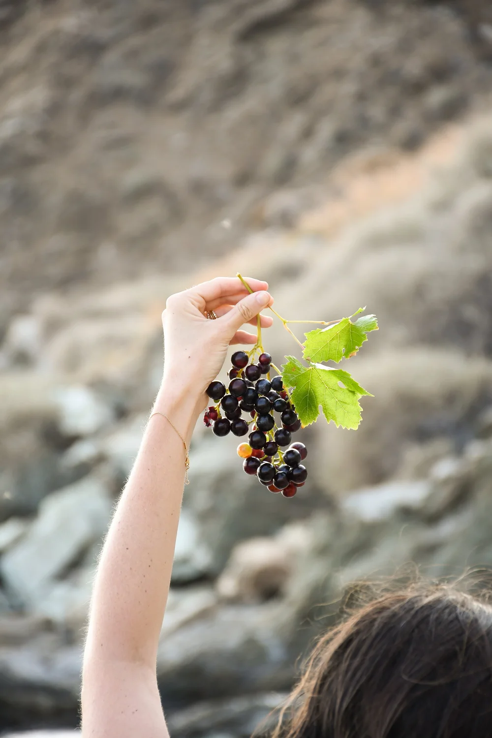 melisses andros — ALLEGRA D'AGOSTINI