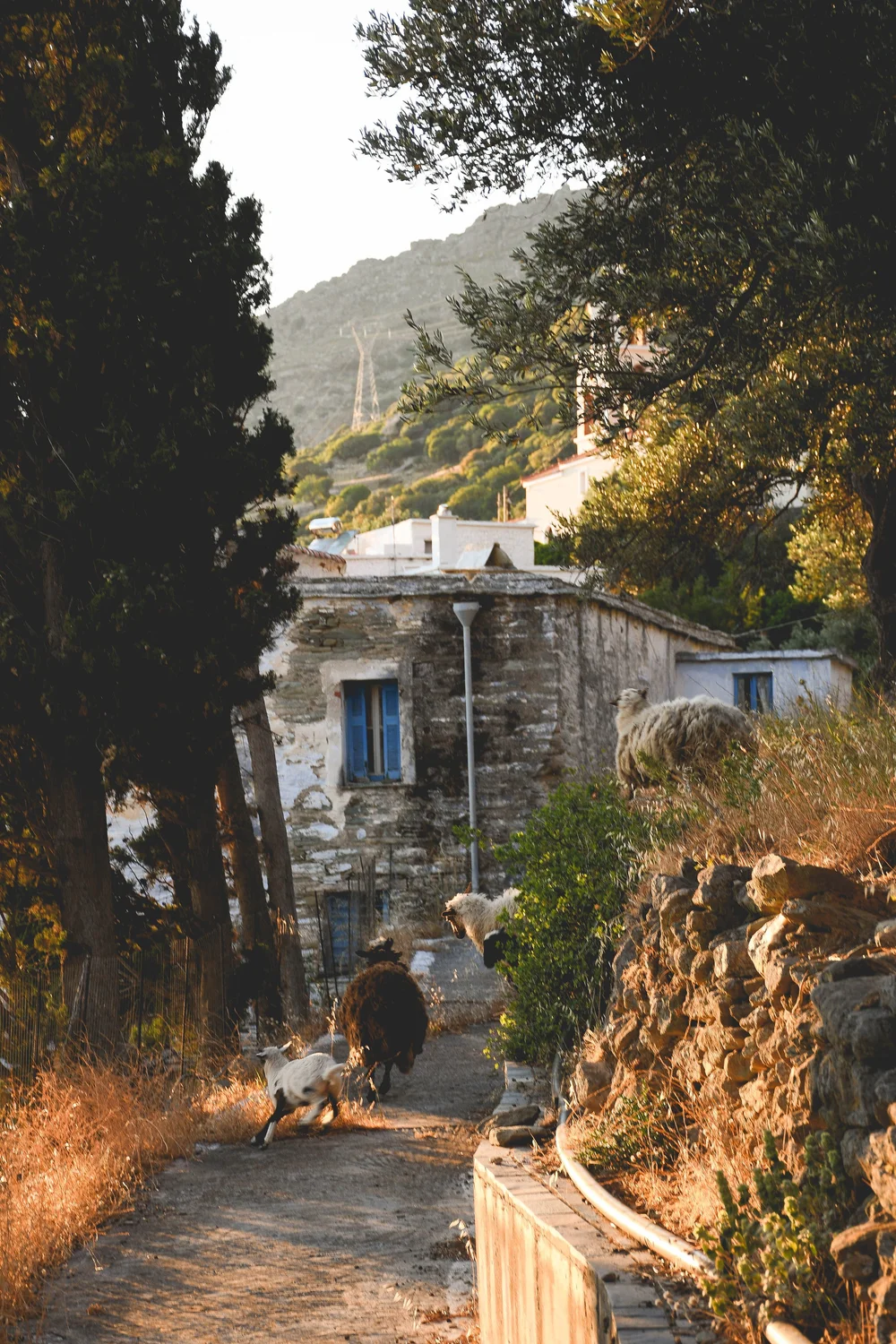 melisses andros — ALLEGRA D'AGOSTINI