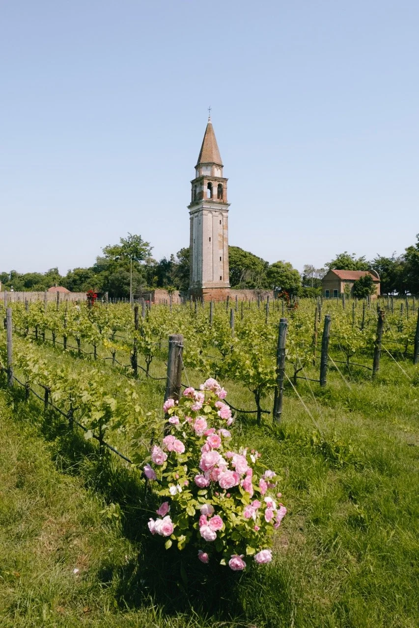 How To Photograph In Harsh Midday Light — Roman Fox