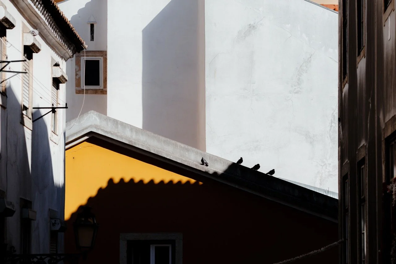 How To Photograph In Harsh Midday Light — Roman Fox