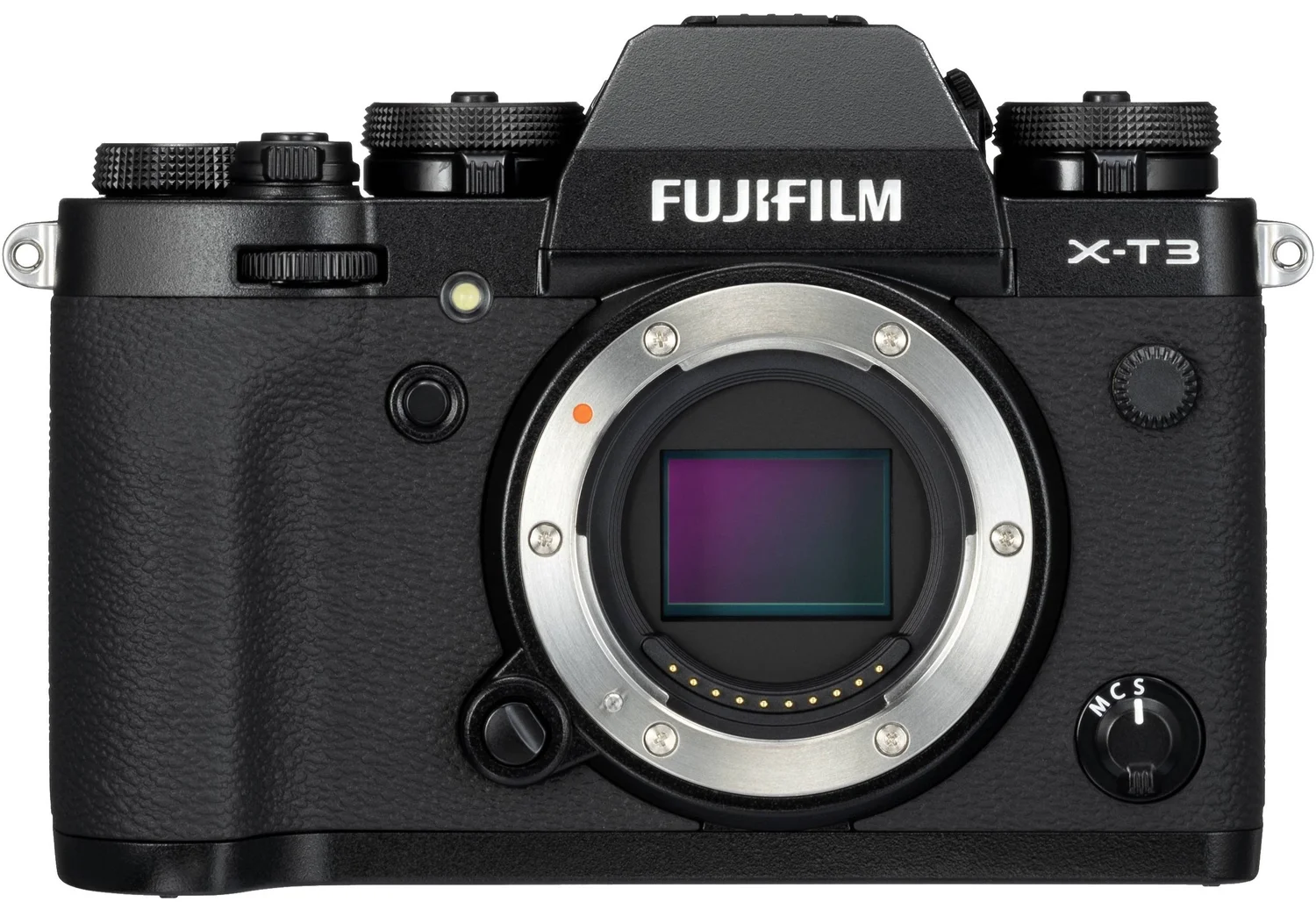 Camera Gear Beginners Actually Need — Roman Fox