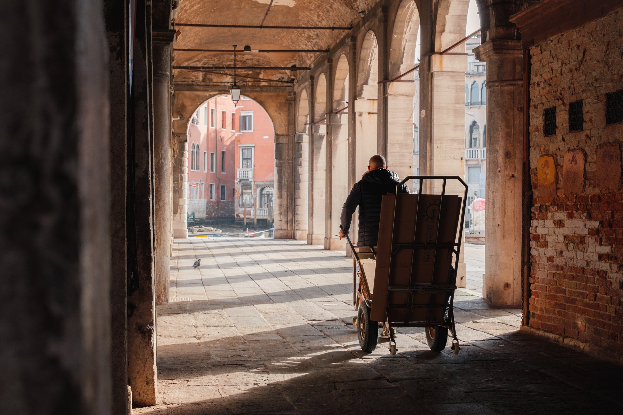 How To Get The Soft Look In Photos — Roman Fox