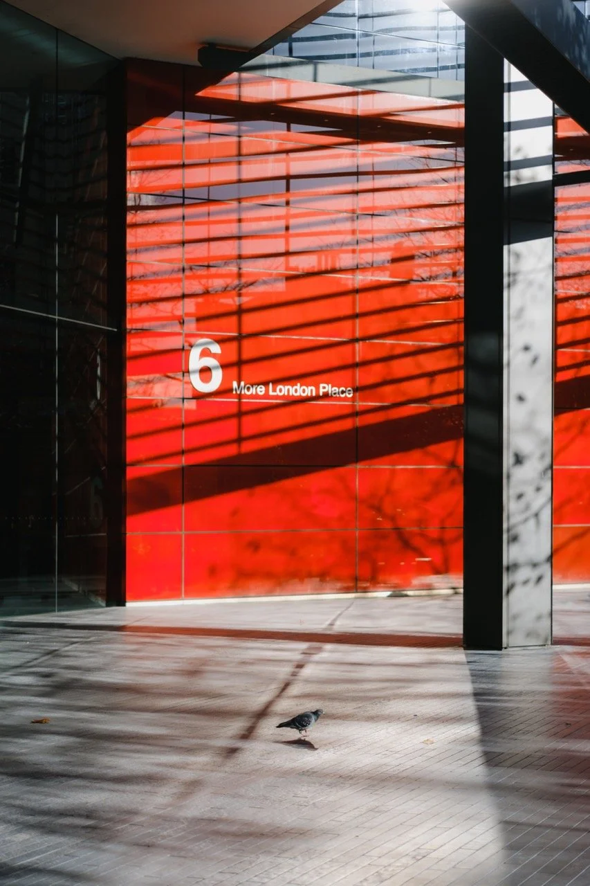 How To Photograph In Harsh Midday Light — Roman Fox