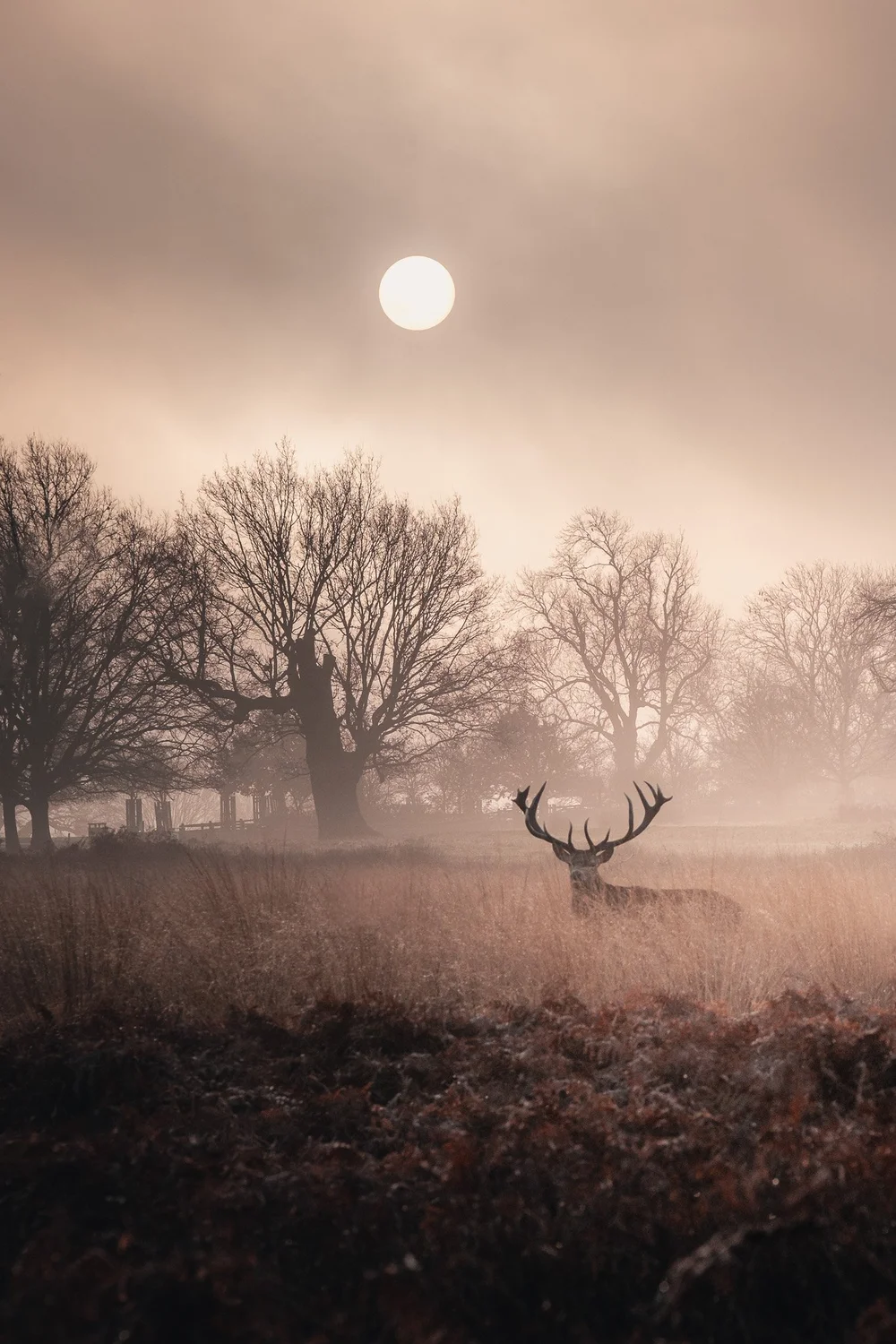 Reviewing My Best Photos 2019 - 2023 — Roman Fox