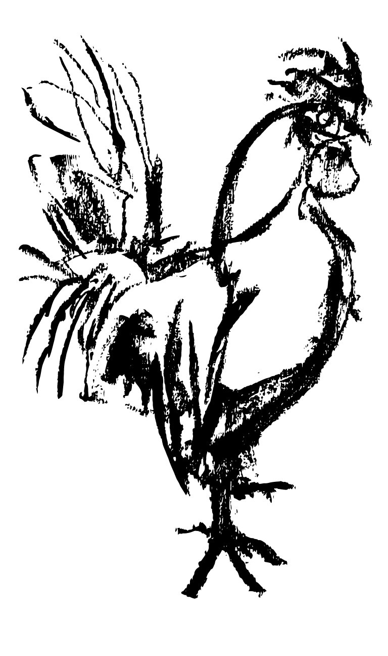 Sustainability — Chook Chicken