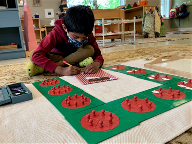 Materials Highlight: The Fraction Insets — White Bear Montessori School