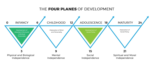 The Four Planes of Development — White Bear Montessori School
