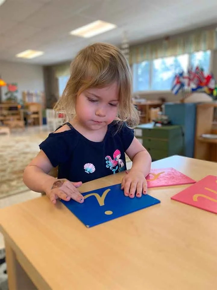 Montessori Materials Introduction To Language Activities White Bear 