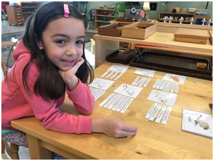 Montessori Basics: The Language Curriculum — White Bear Montessori School