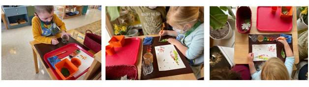 Exploring Leaves — White Bear Montessori School