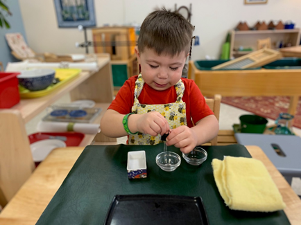 Practical Life – What it is and Why it is so Important — White Bear ...