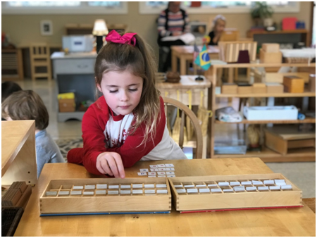 The Capstone Year, or Kindergarten, in a Montessori Children’s House ...
