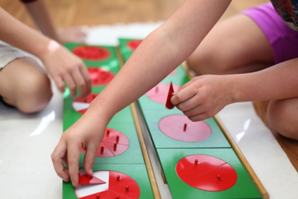 Materials Highlight: The Fraction Insets — White Bear Montessori School