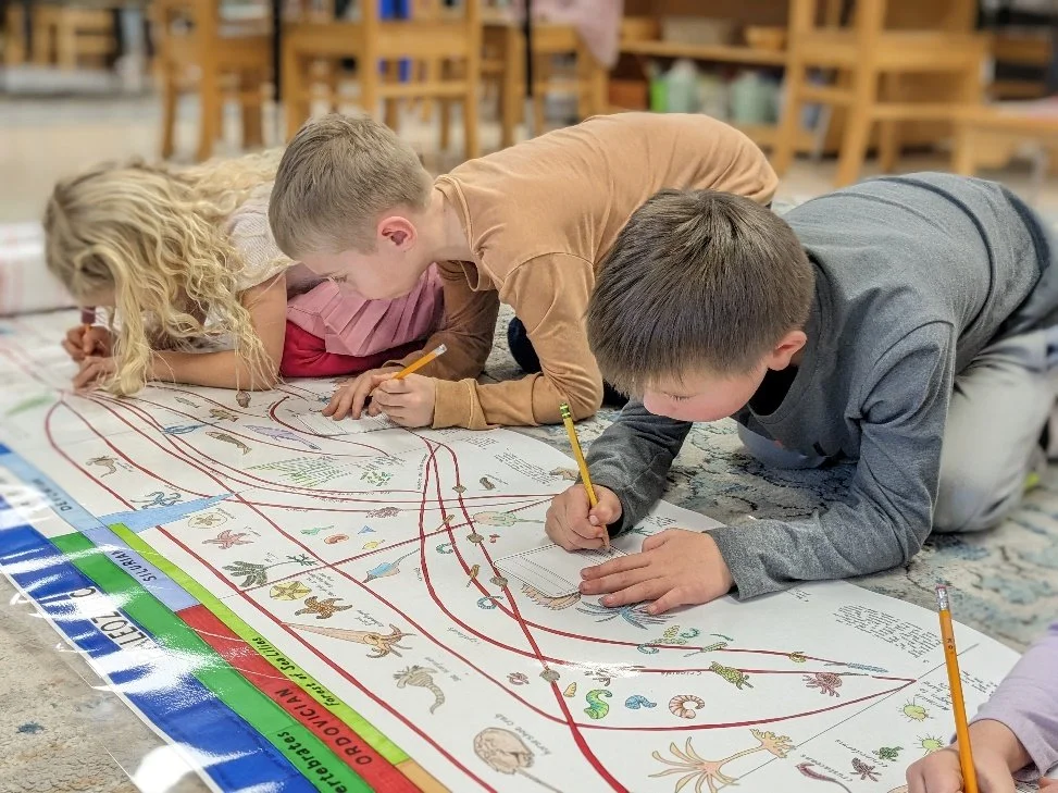 The Timeline of Life: A Quintessential Montessori Material — White Bear ...