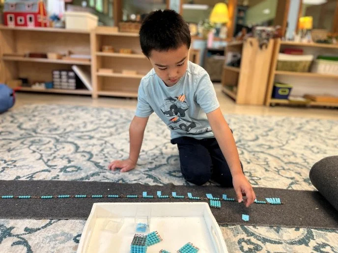 The Capstone Years — White Bear Montessori School