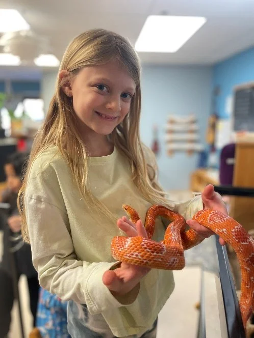 The Capstone Years — White Bear Montessori School