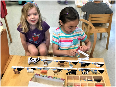 Materials Spotlight: Montessori Grammar Materials — White Bear ...