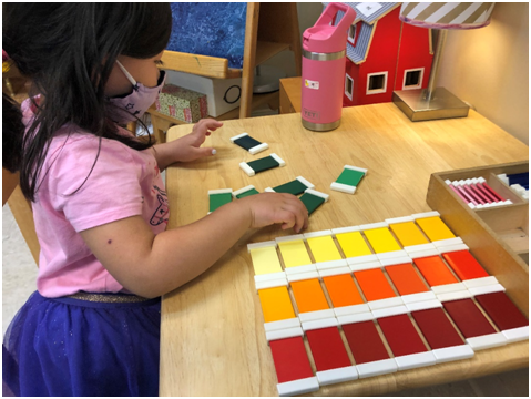 The Montessori Approach to Refining the Senses — White Bear Montessori ...