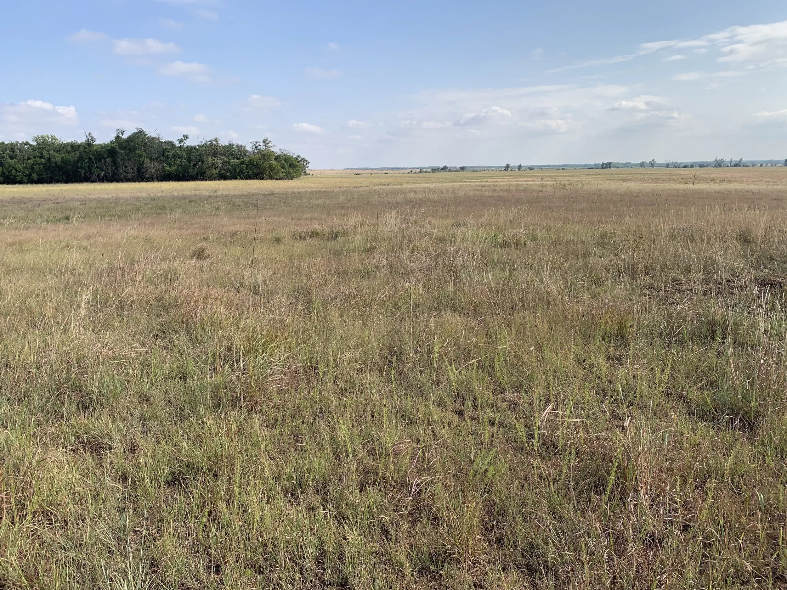 Calendar — Cheney Lake Watershed, Inc.