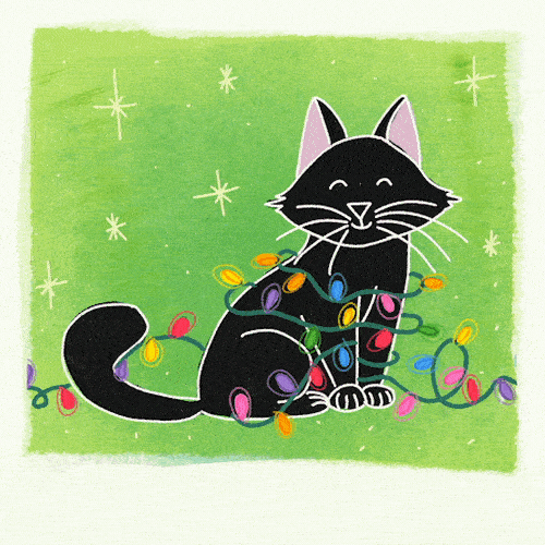 Cat Christmas Lights — Gina Barton