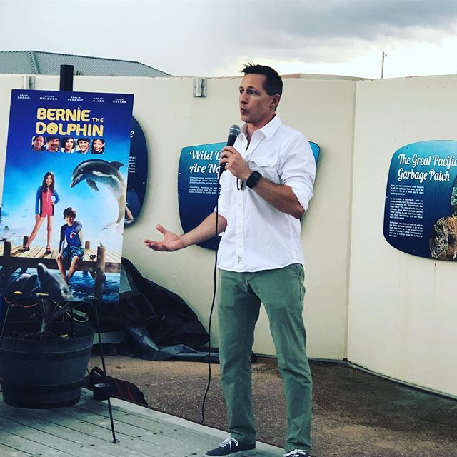 Bernie The Dolphin