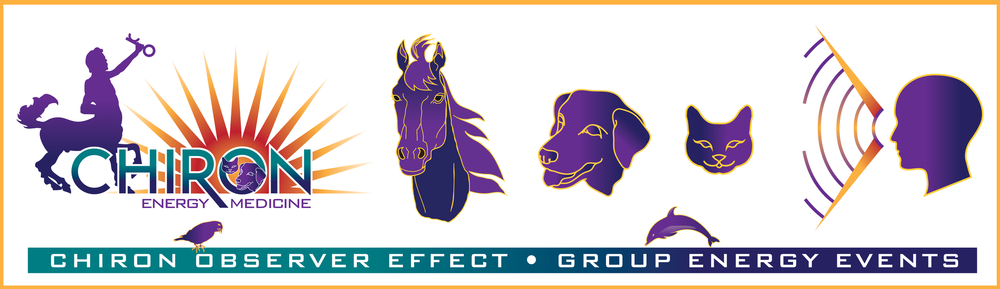 Thank you registering for Chiron Observer Effect — Chiron Energy Medicine