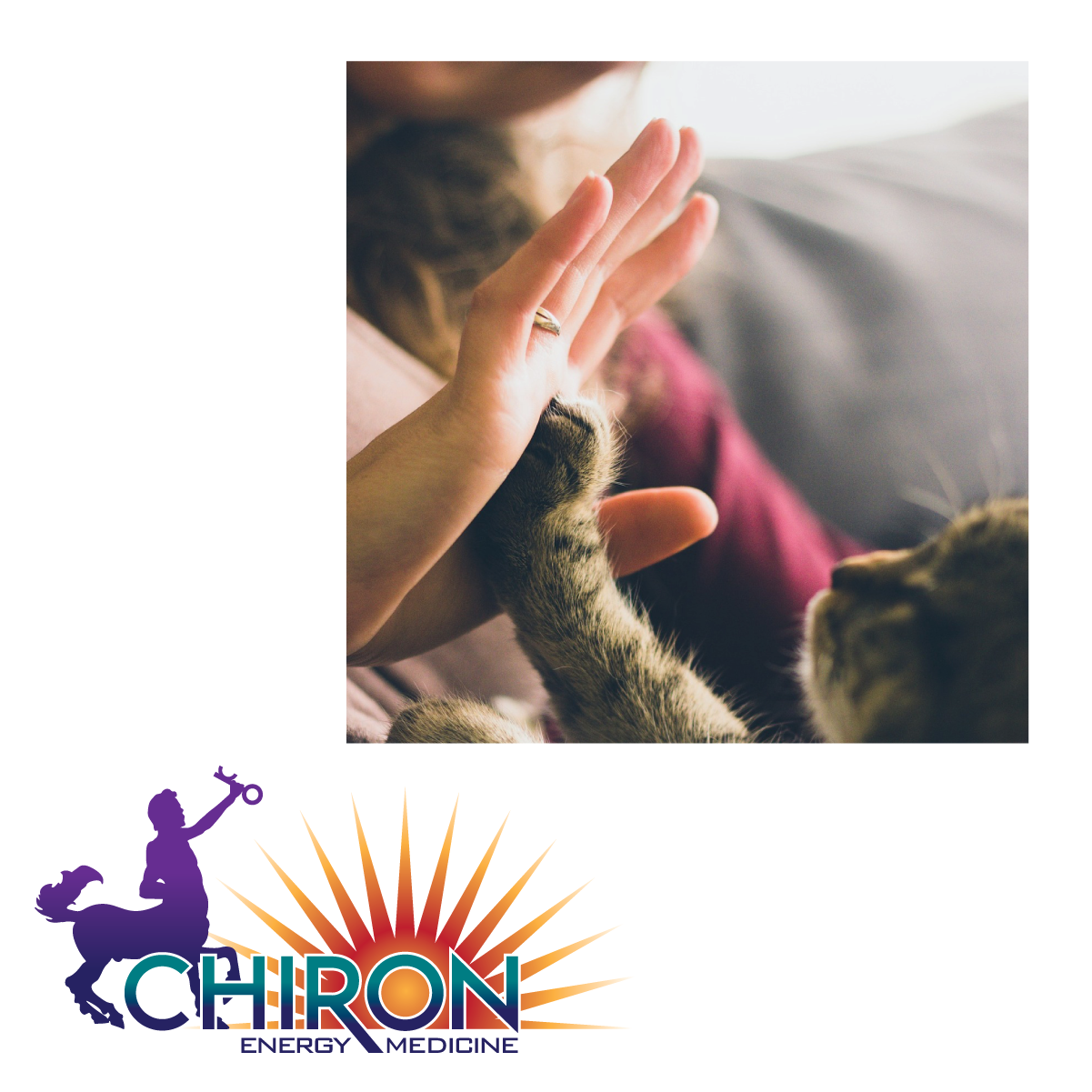 An Introductory Consultation — Chiron Energy Medicine