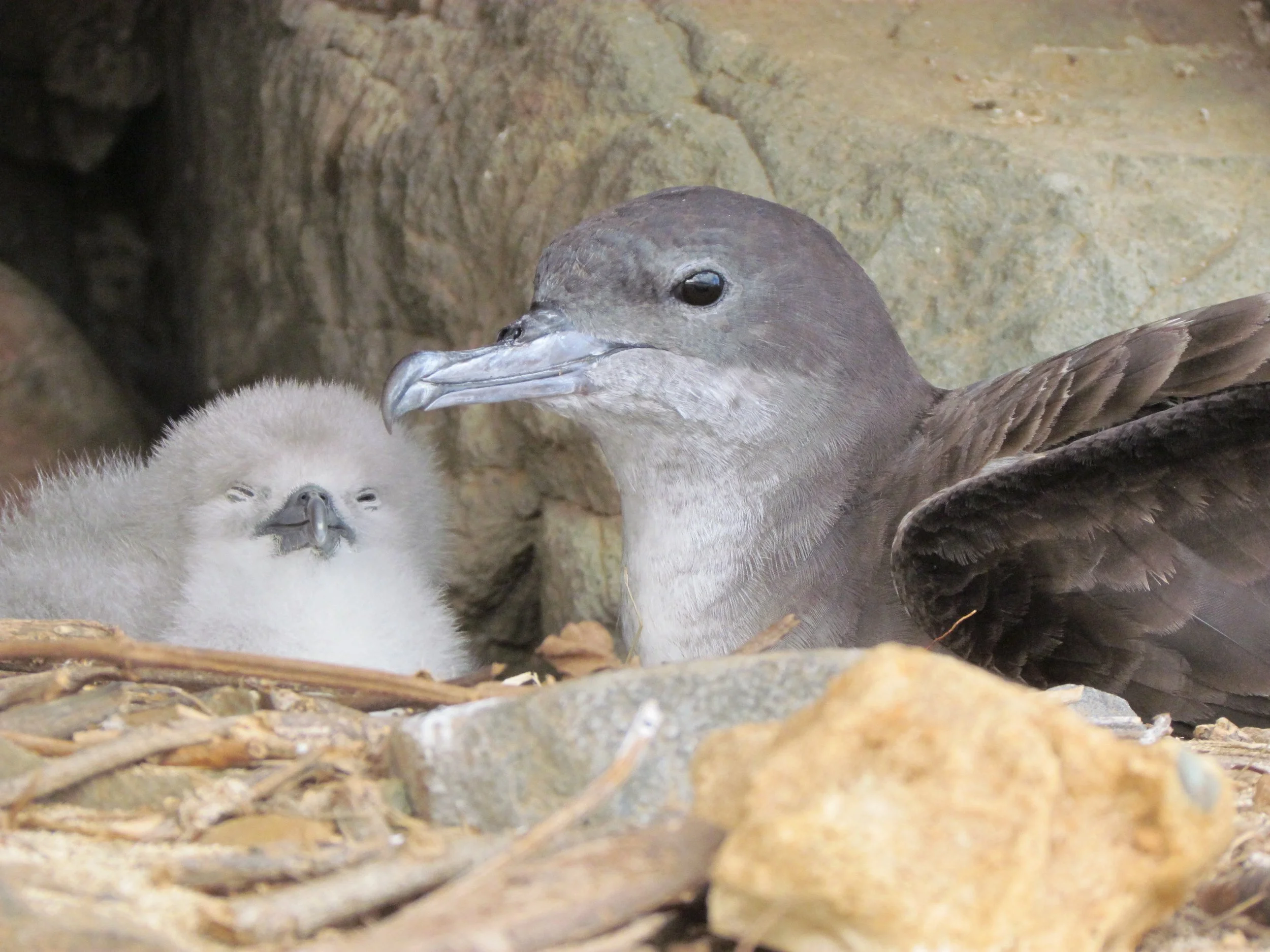 The Complete Guide to Kayaking to the Mokes | Breathtaking Adventures ...