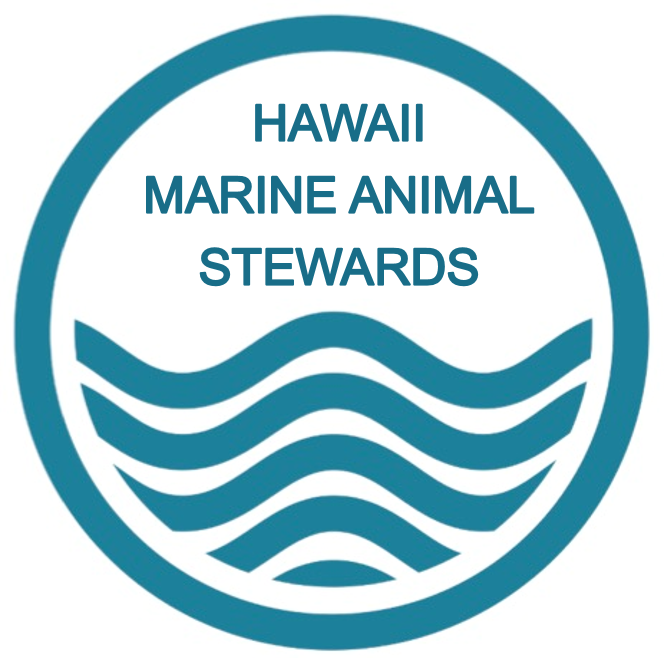 Guided Kailua Kayak+ Snorkel Tours of The Mokuluas (Mokes) — Kailua ...
