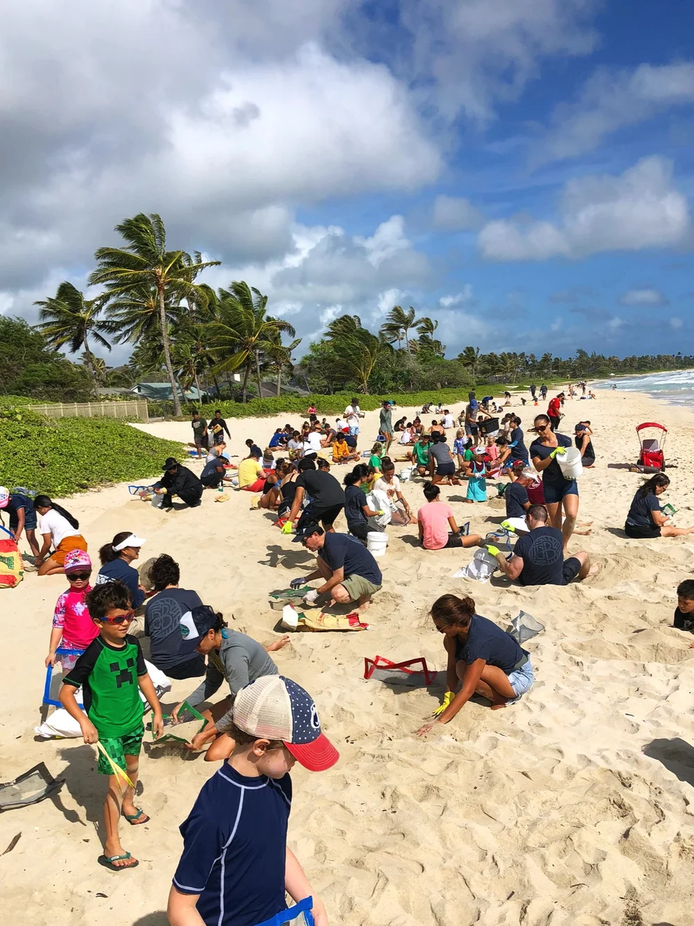 People Cleaning The Environment In Hawaii