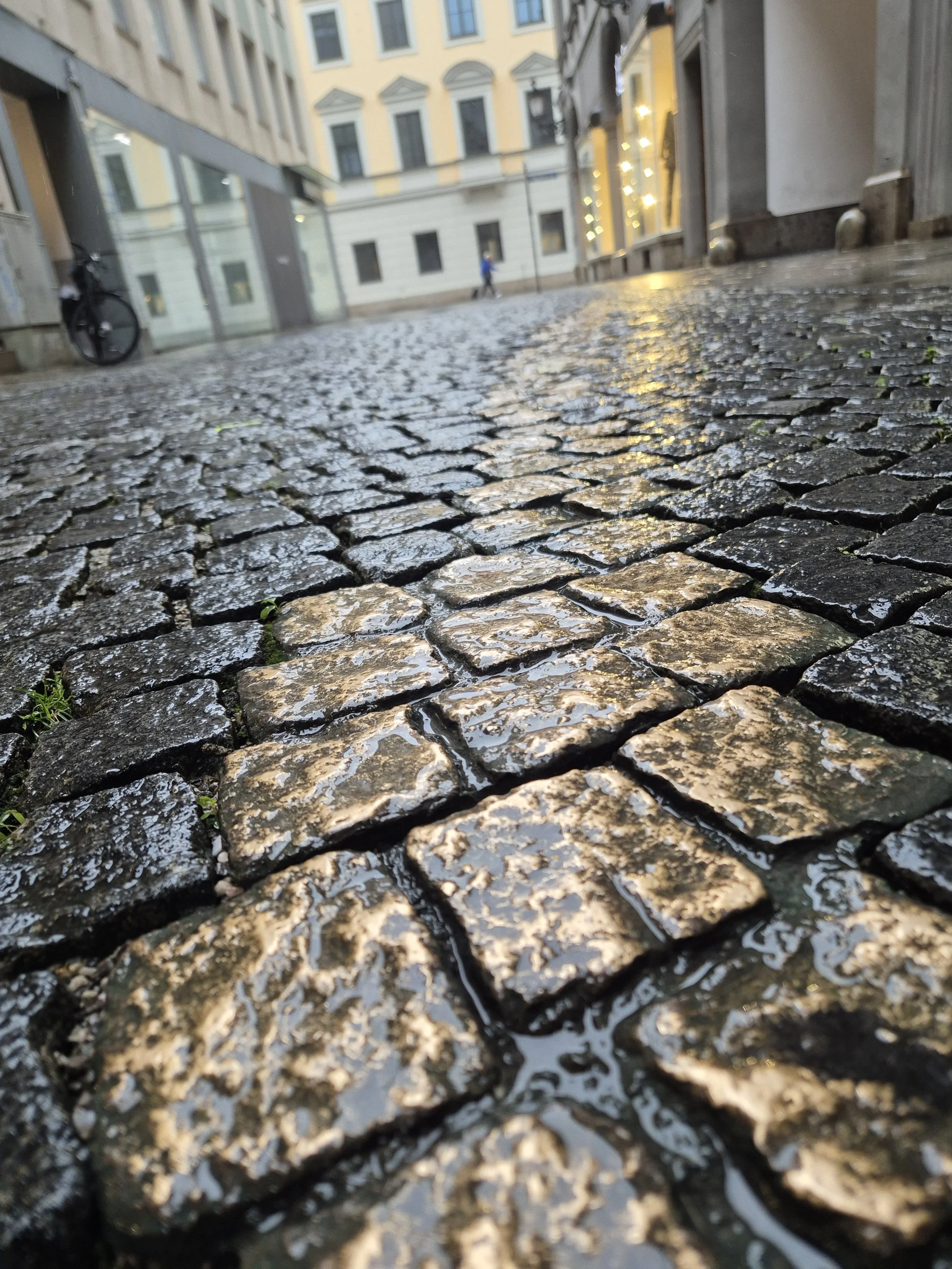 The Dachau Tour - Munich Third Reich Walking Tour | Expert-Led