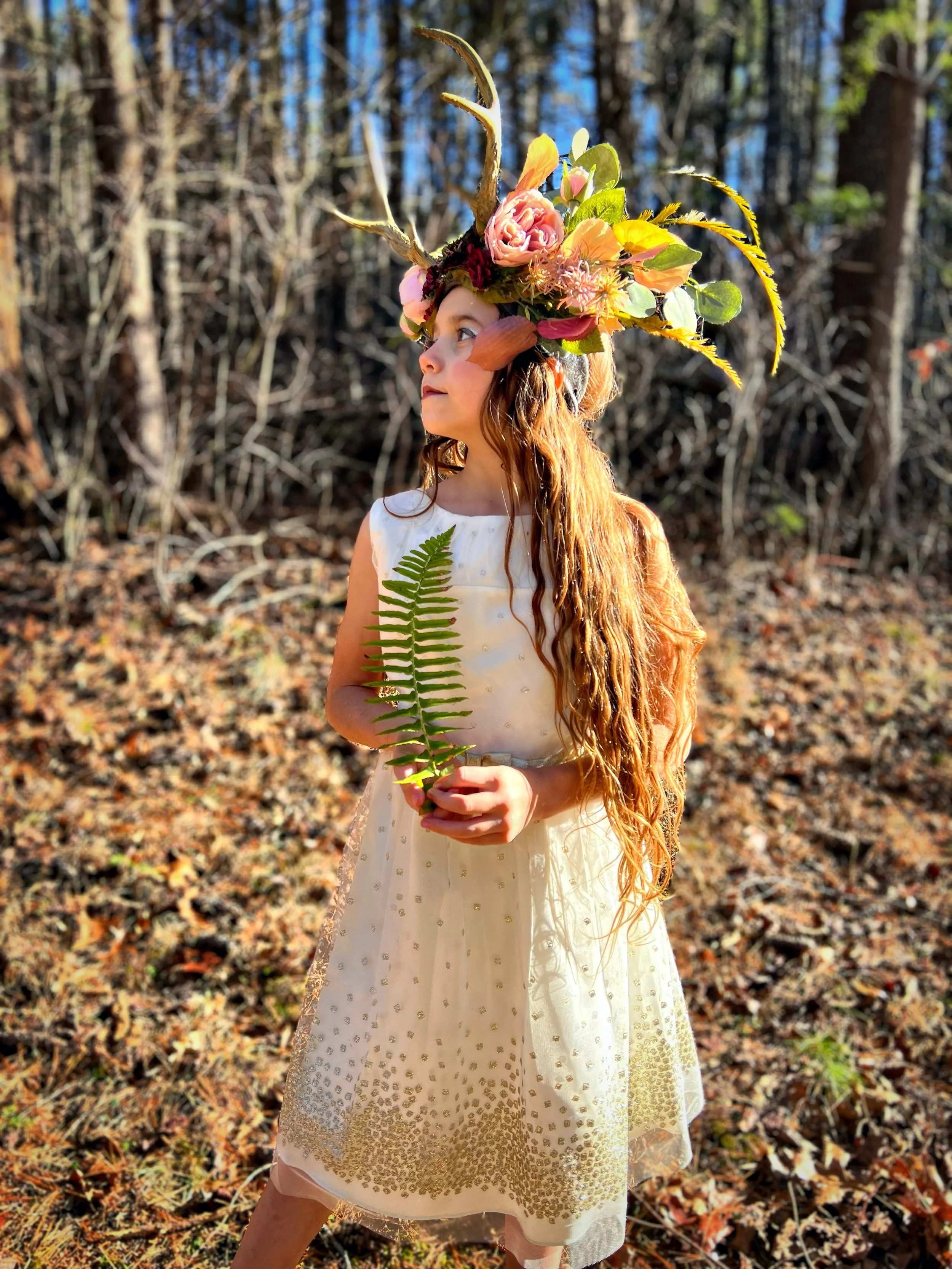 Woodland Crowns — STRIKE DAEKINS