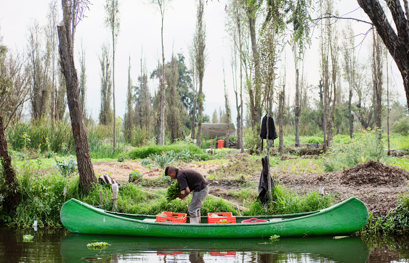 Chinampas 101 — Sustained Kitchen