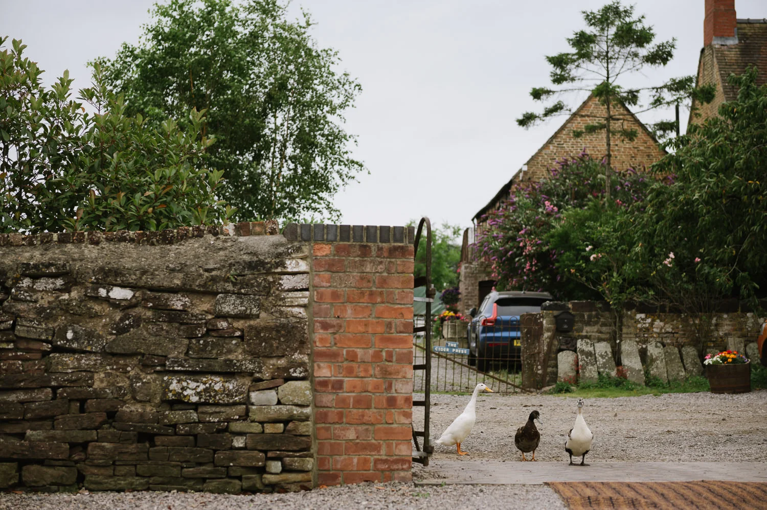 Relaxed wedding photography at Milton End Farm, Gloucestershire