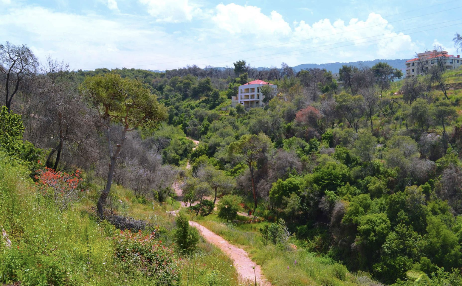 Where to run in Beirut: Top 9 Locations — DEWILDESALHAB武士