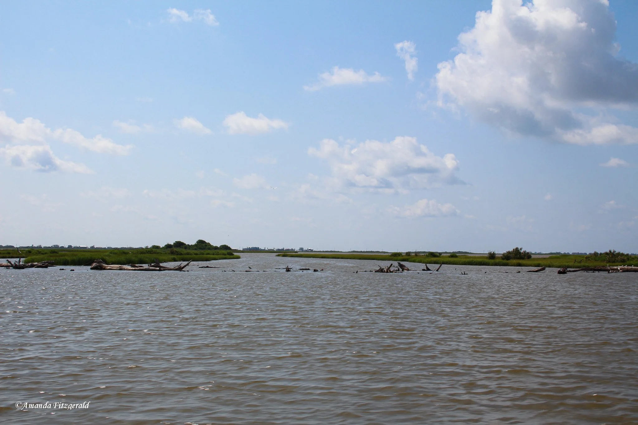 Colorado River Delta Before Dam