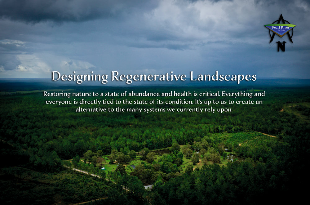 Pearl River Eco Design