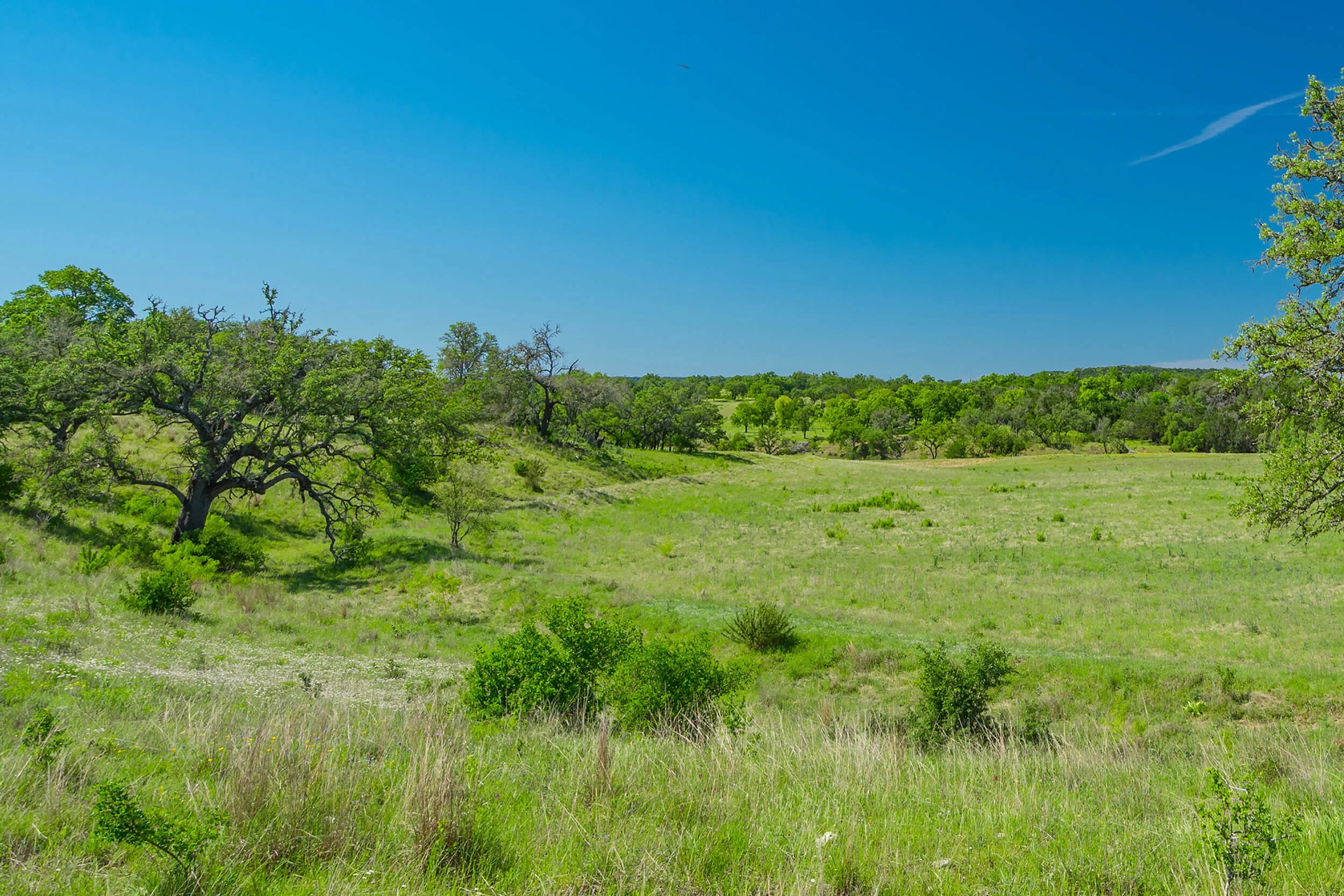 LIVE OAK RIDGE — Anders Ranch Realty