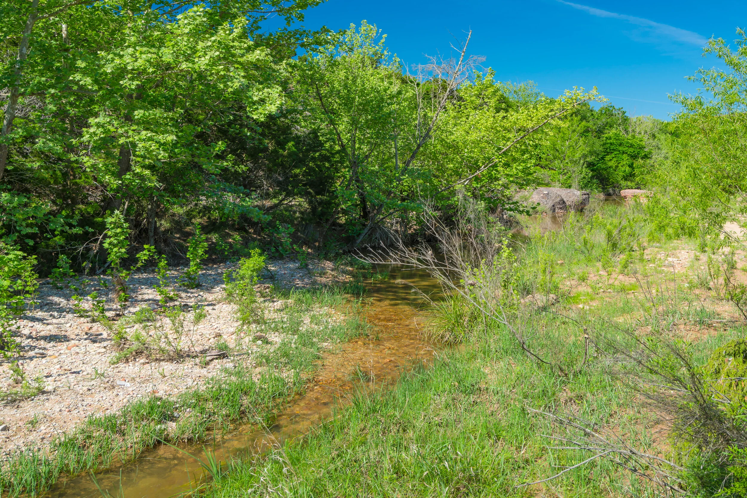 LIVE OAK RIDGE — Anders Ranch Realty