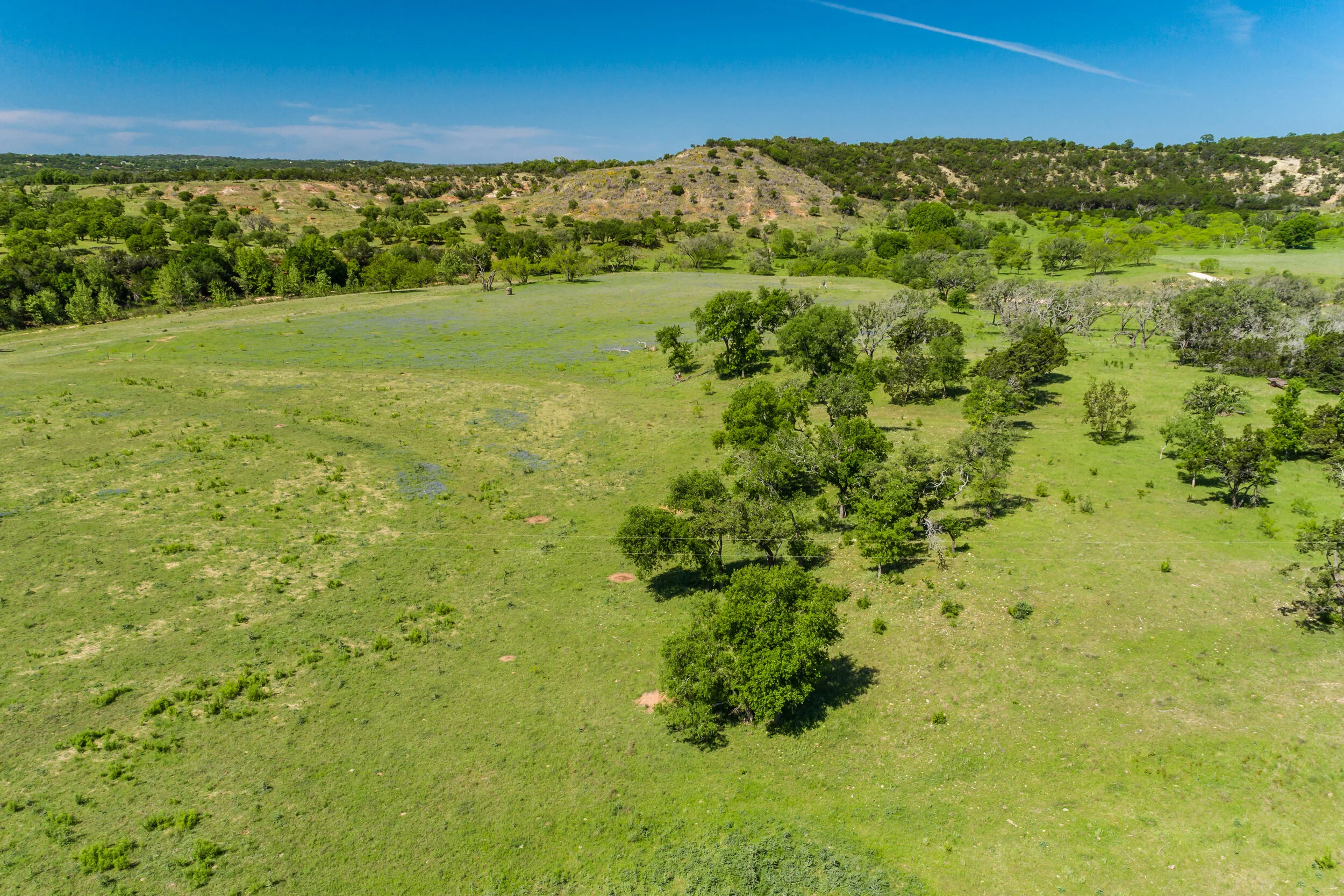 LIVE OAK RIDGE — Anders Ranch Realty