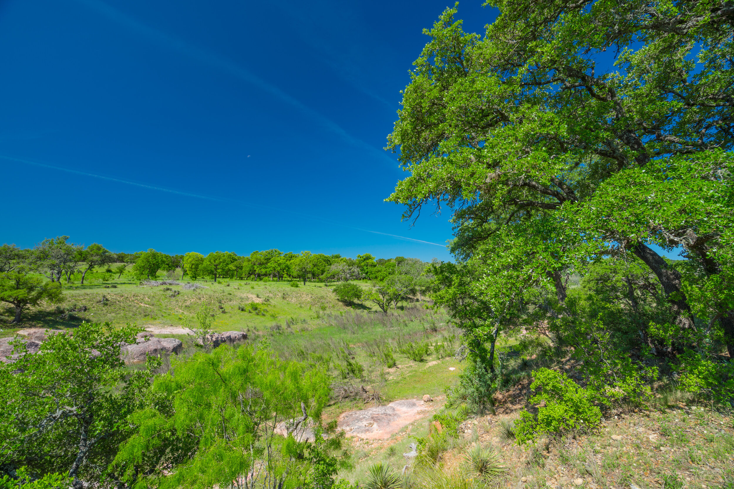 LIVE OAK RIDGE — Anders Ranch Realty