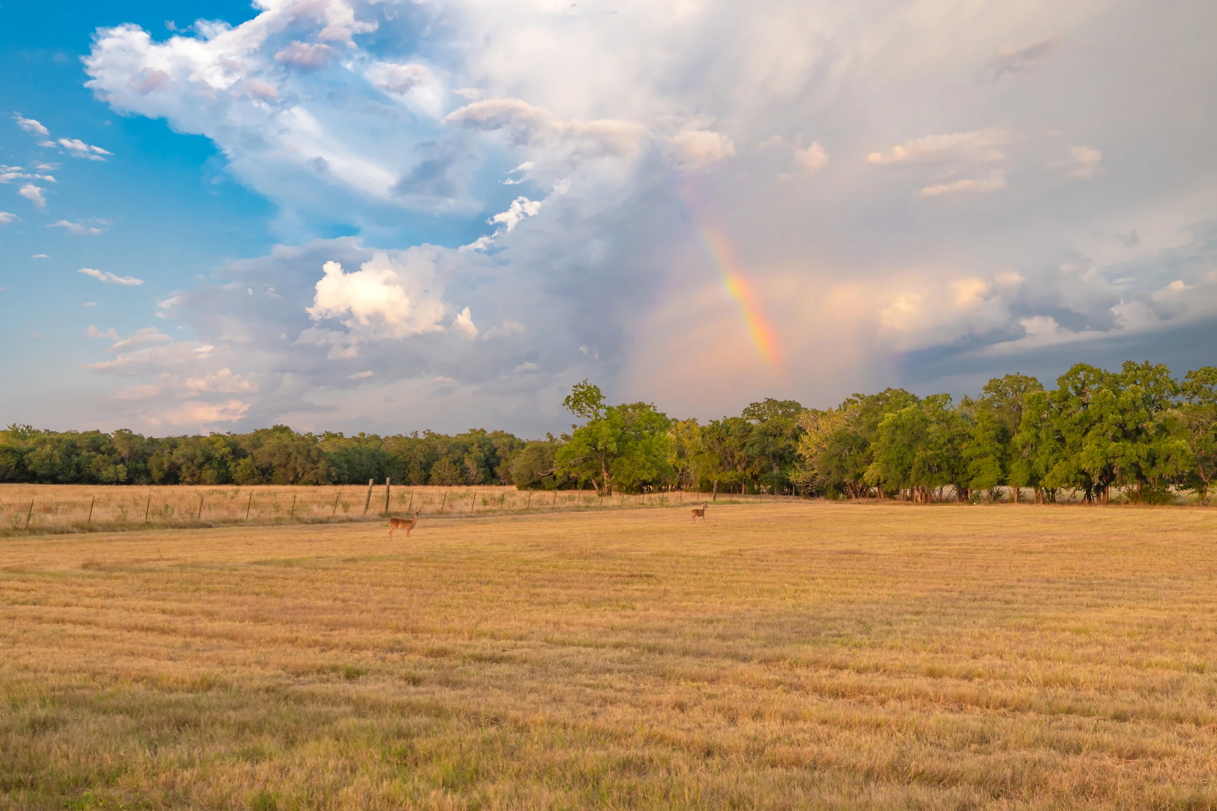 AGUA VERDE RANCH — Anders Ranch Realty