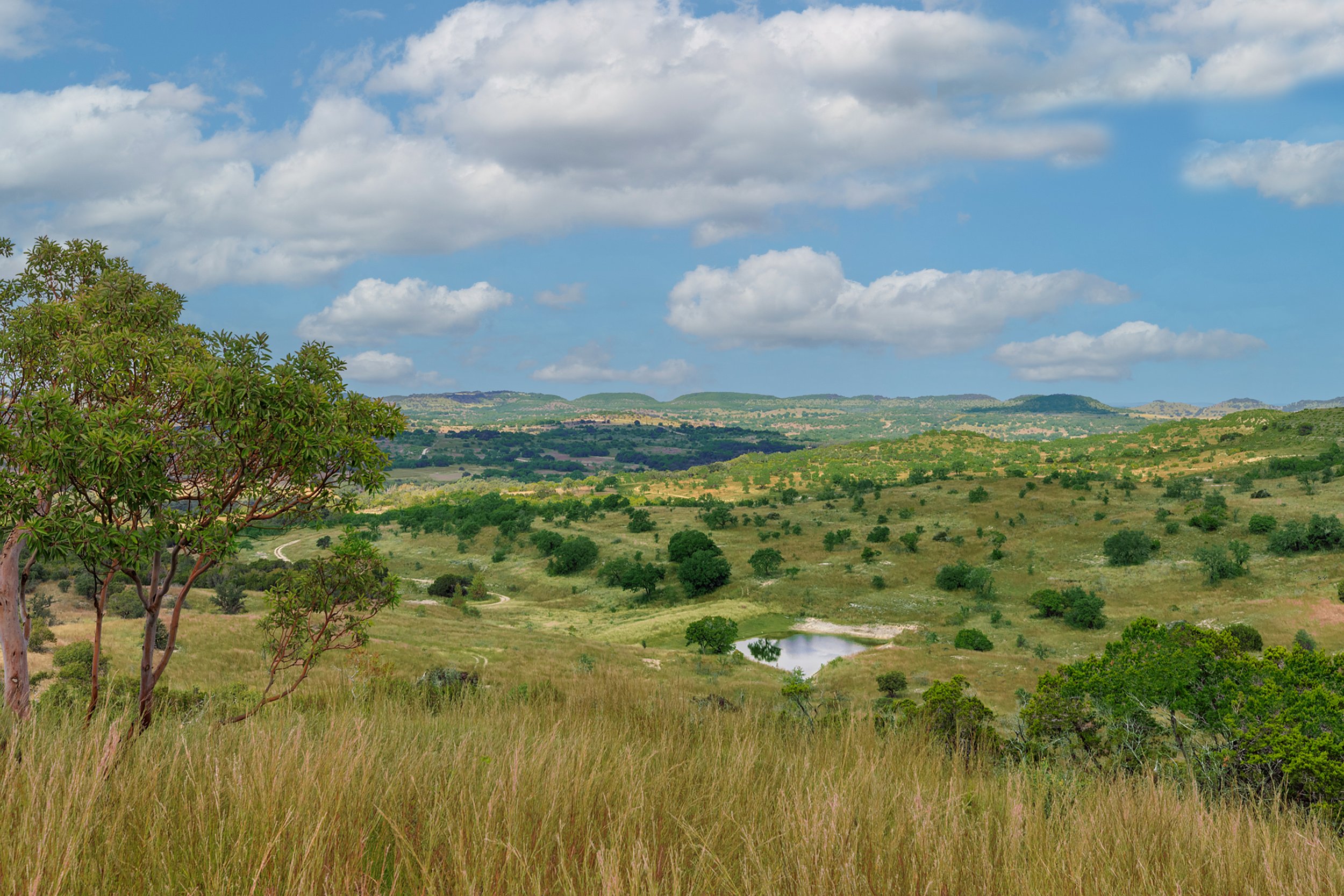Brady Anders, Broker/Owner