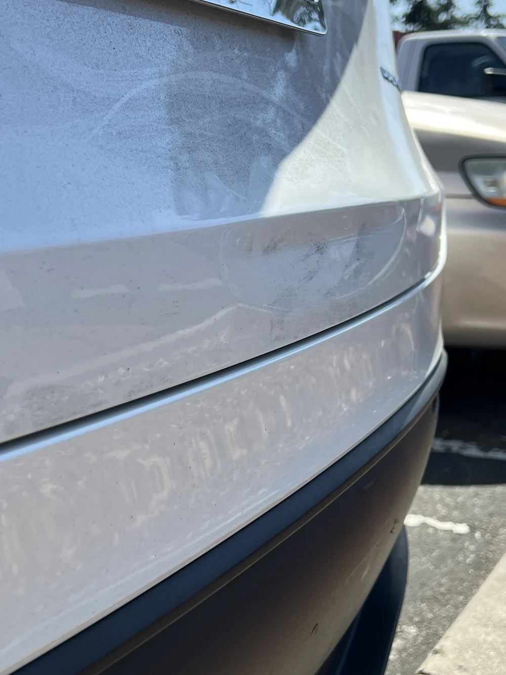 2023 Tesla Model Y (Multicoat White) — DETAILERSHIP™