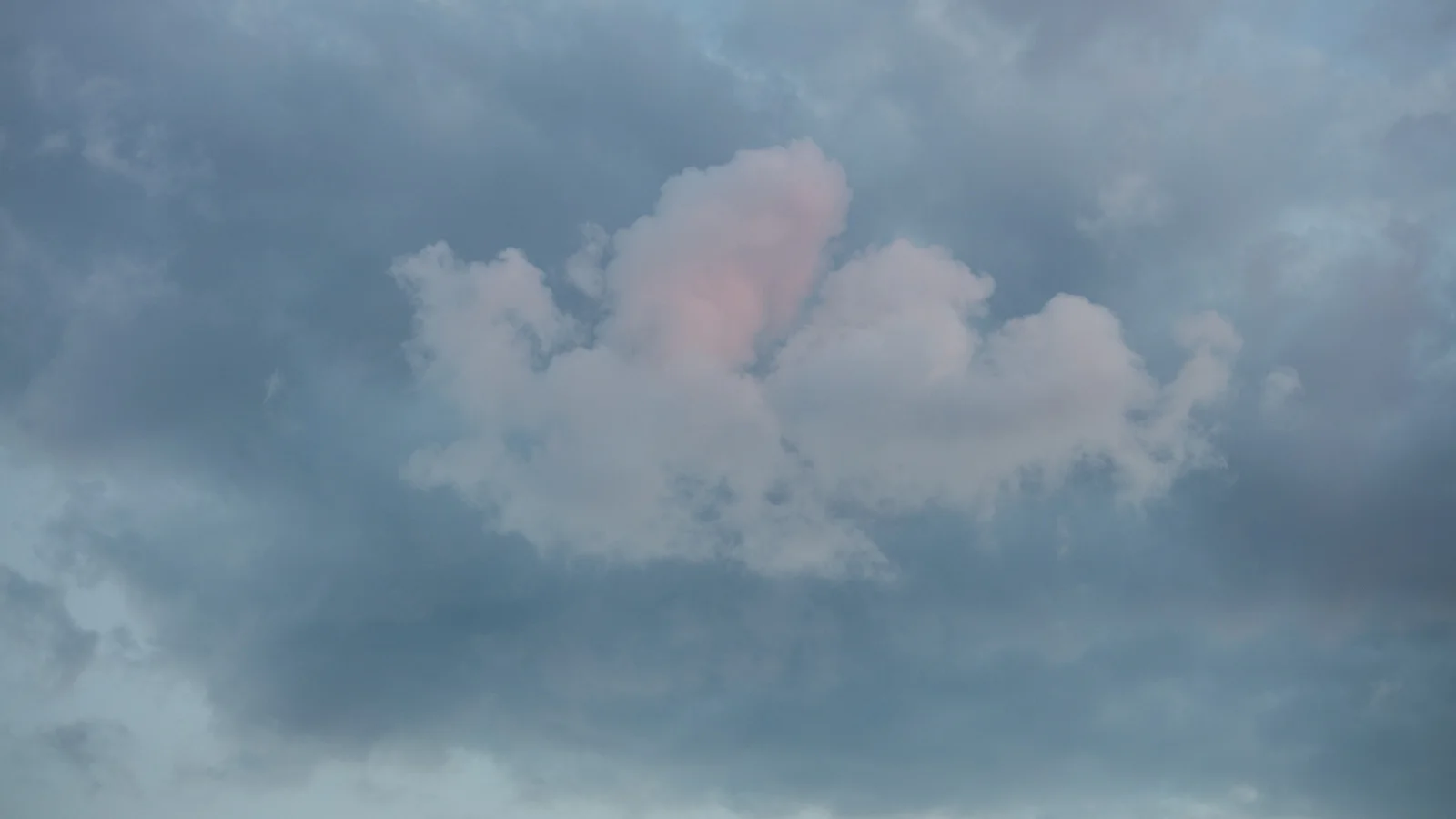 Photography — ANN RAY