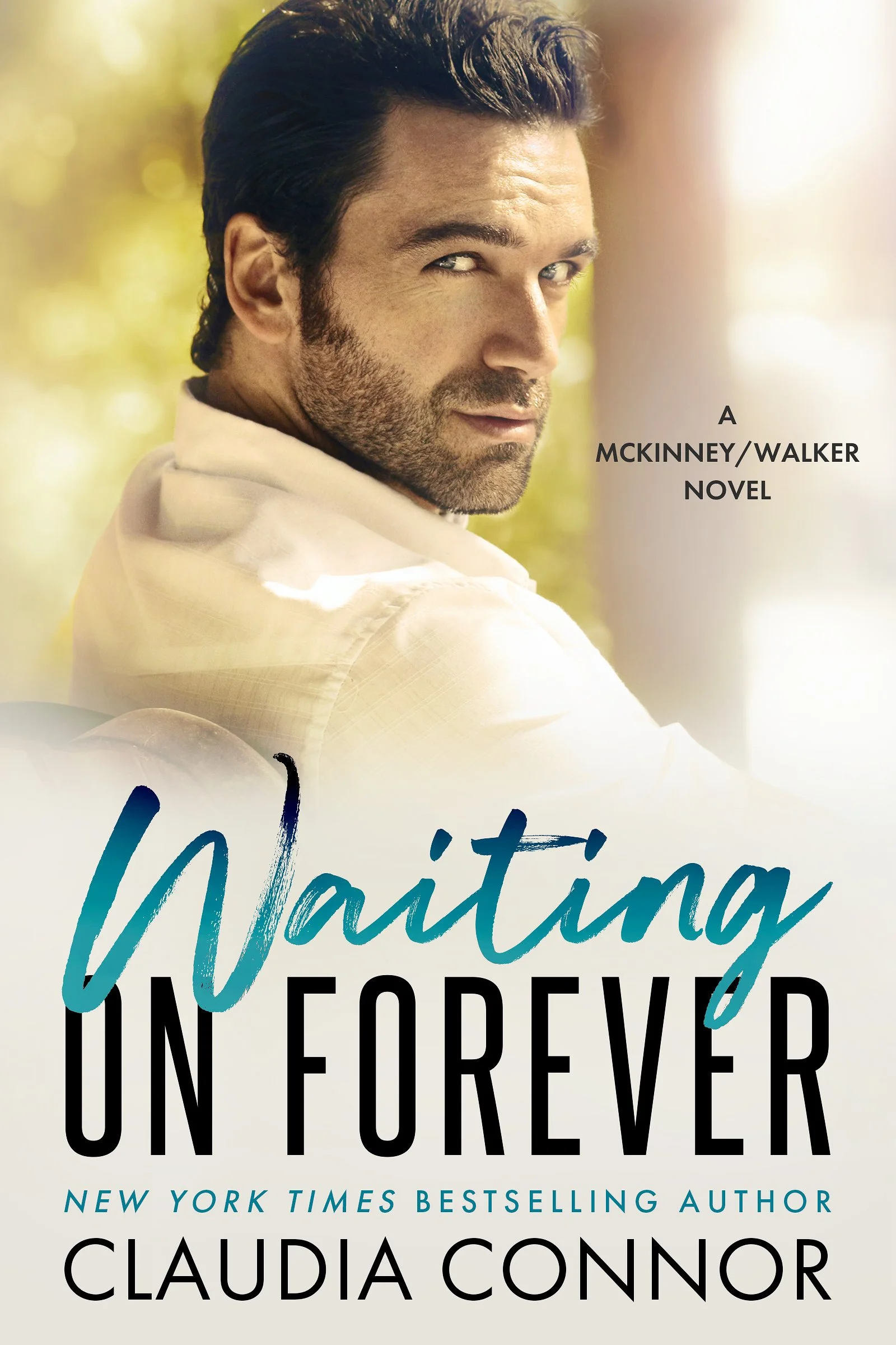 Waiting For Forever Poster