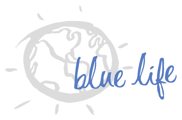 Blue Life — The Palm Room